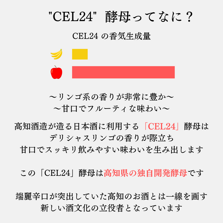 仁淀川 CEL24 純米大吟醸 磨き50％ 清流モデル【720㎖】 – 高知酒造