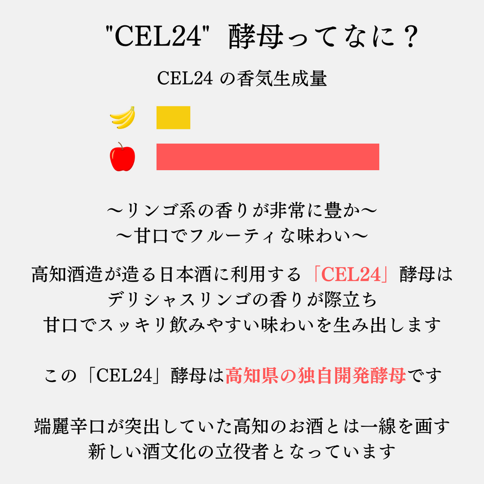 仁淀川 CEL24 純米大吟醸 磨き50％ 清流モデル【720㎖】 – 高知酒造